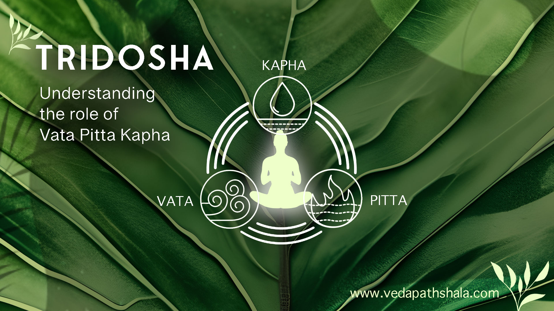 Tridosha - Vata Pitta Kapha - School of wisdom and knowledge